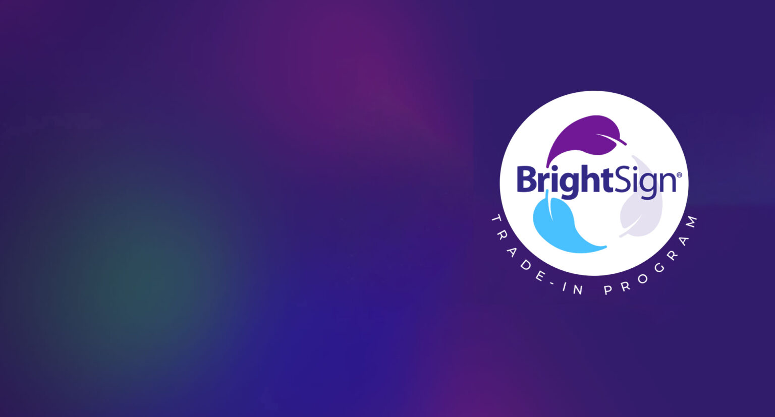 BrightSign® Digital Signage Players